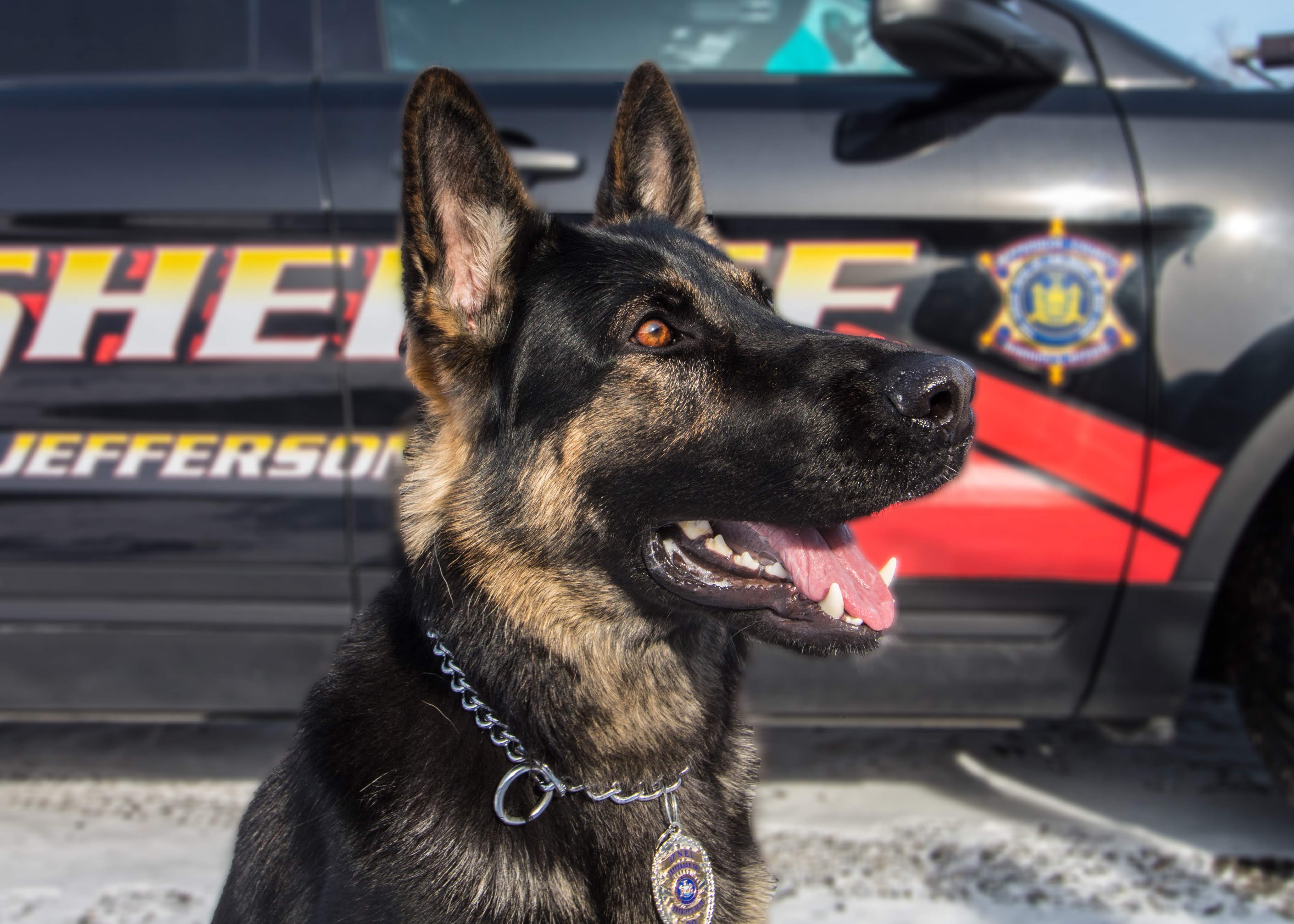 Welcome to Jefferson County, New York - K-9